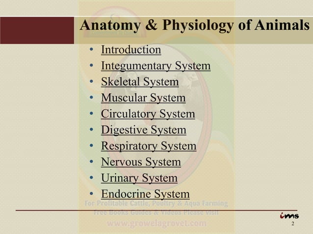 Anatomy & Physiology of Animals | PDF