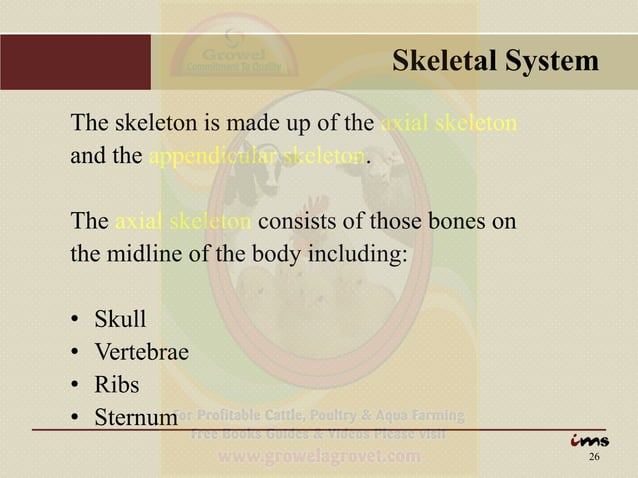 Anatomy & Physiology of Animals | PDF