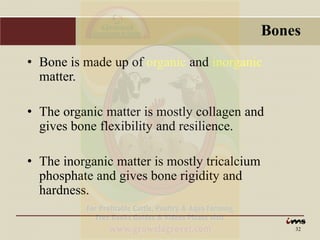 Anatomy & Physiology of Animals | PDF