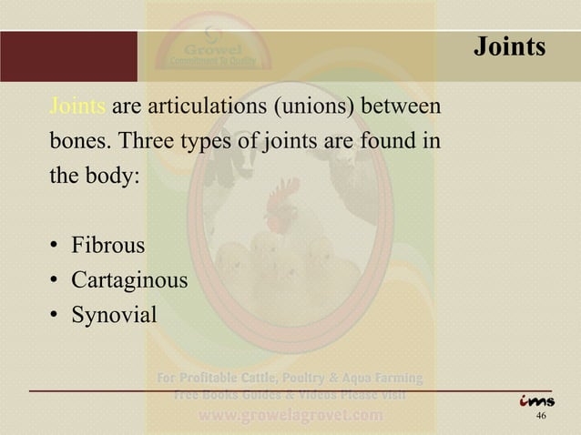 Anatomy & Physiology of Animals | PDF