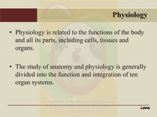 Anatomy & Physiology of Animals | PDF