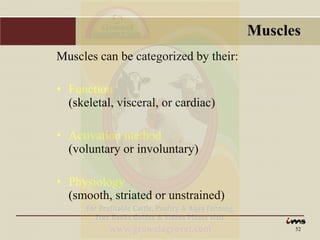 Anatomy & Physiology of Animals | PDF