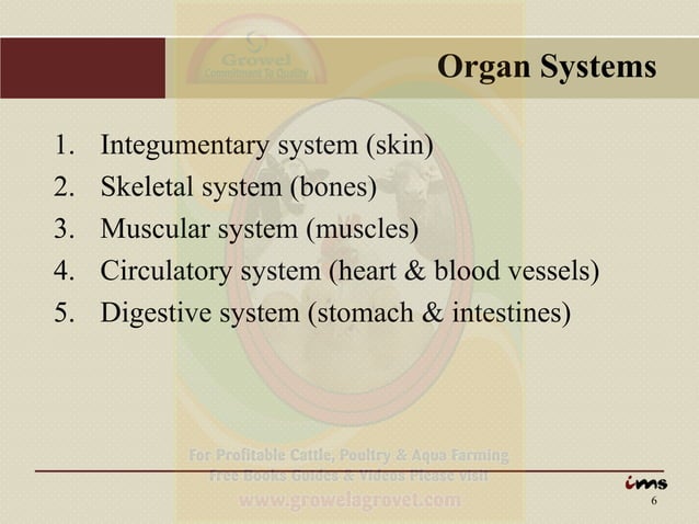 Anatomy & Physiology of Animals | PDF