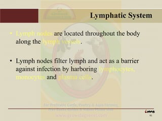 Anatomy & Physiology of Animals | PDF