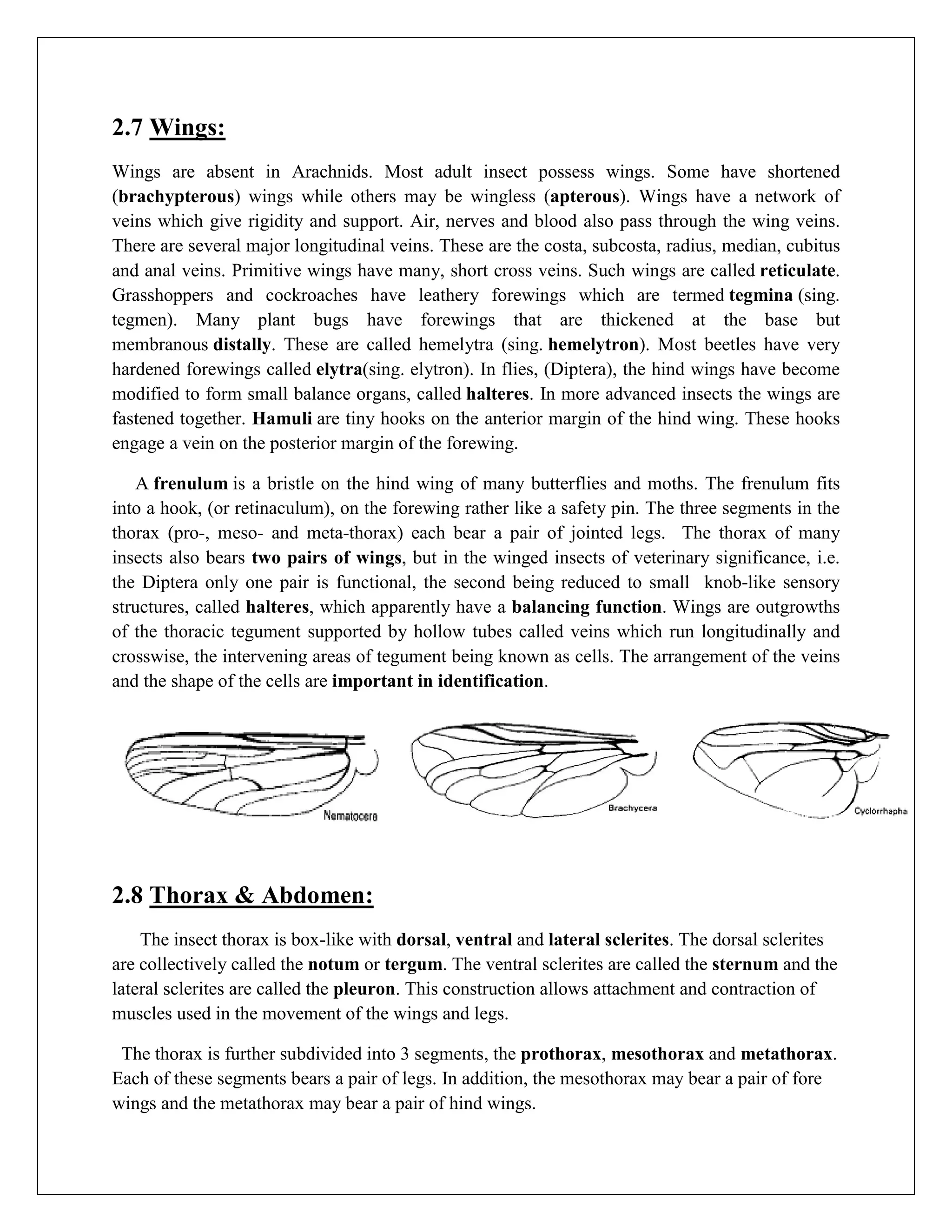Anatomy & physiology of arthropods | PDF