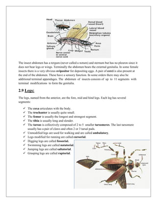 Anatomy & physiology of arthropods | PDF