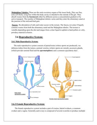 Anatomy & physiology of arthropods | PDF