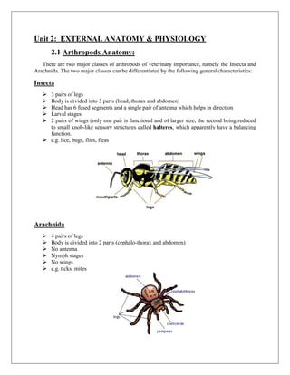 Anatomy & physiology of arthropods | PDF