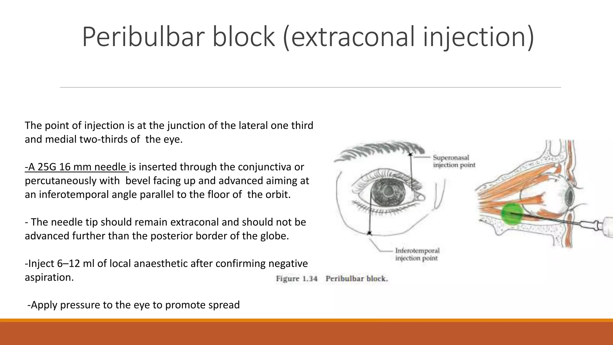 Anatomy & physiology of Brain,Spinl cord Nerve,Eye.pptx