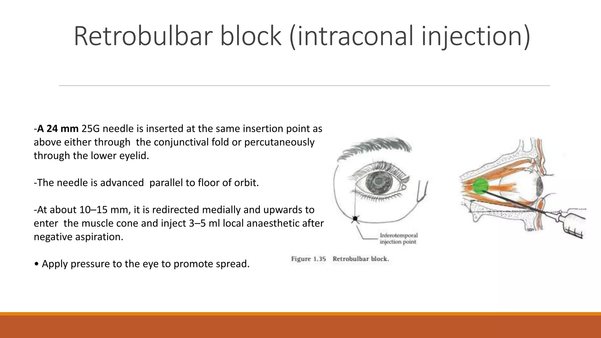 Anatomy & physiology of Brain,Spinl cord Nerve,Eye.pptx
