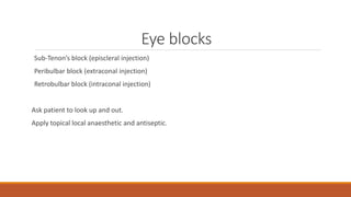 Anatomy & physiology of Brain,Spinl cord Nerve,Eye.pptx