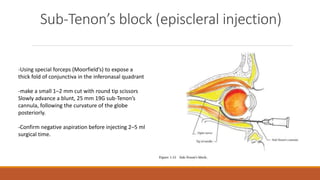Anatomy & physiology of Brain,Spinl cord Nerve,Eye.pptx