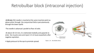Anatomy & physiology of Brain,Spinl cord Nerve,Eye.pptx