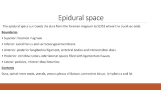 Anatomy & physiology of Brain,Spinl cord Nerve,Eye.pptx