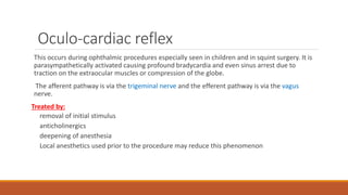 Anatomy & physiology of Brain,Spinl cord Nerve,Eye.pptx