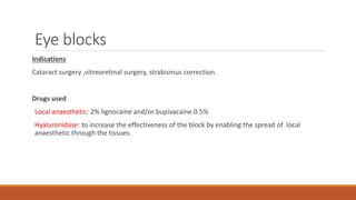 Anatomy & physiology of Brain,Spinl cord Nerve,Eye.pptx