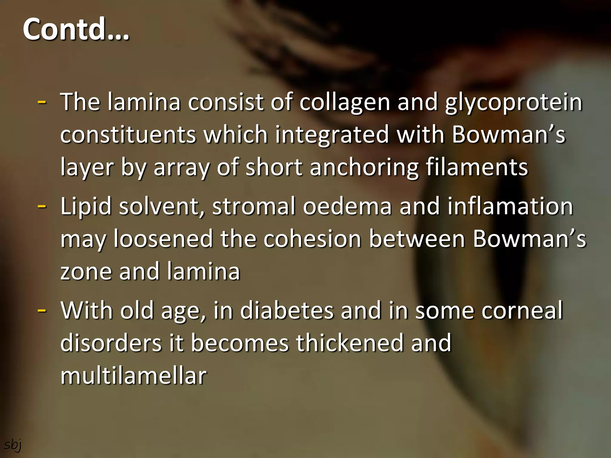 Anatomy & physiology of cornea | PDF