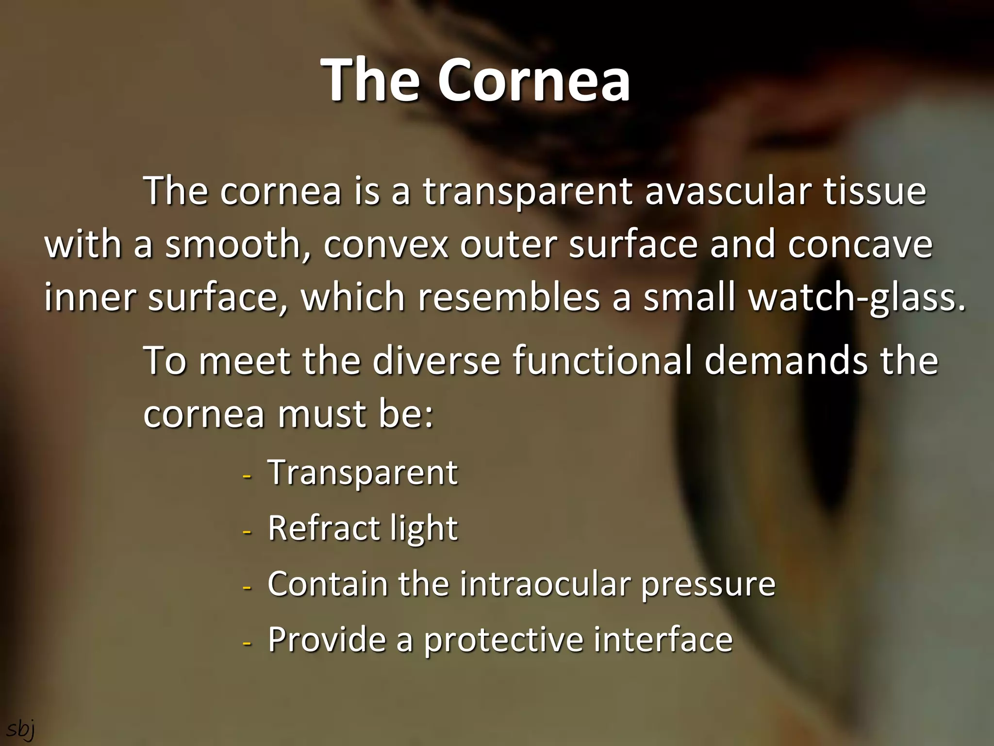 Anatomy & physiology of cornea | PDF