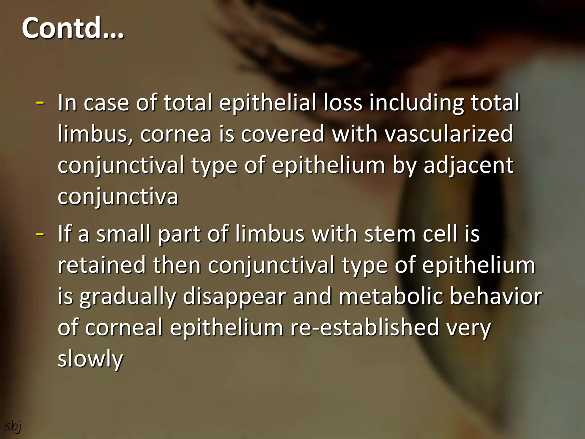 Anatomy & physiology of cornea | PDF