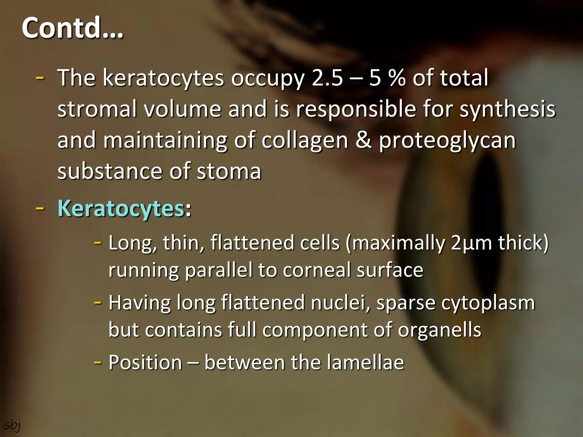 Anatomy & physiology of cornea | PDF