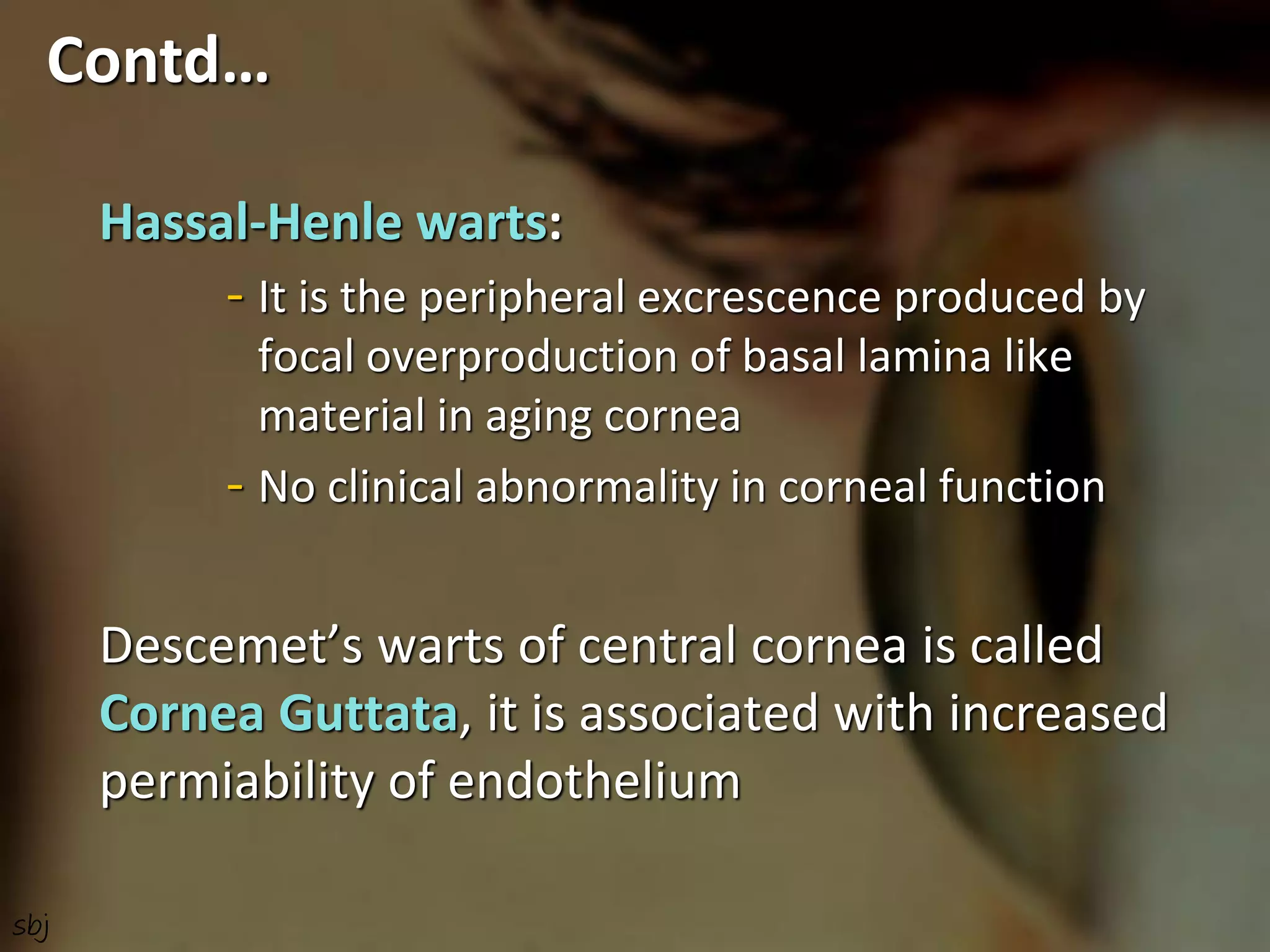 Anatomy & physiology of cornea | PDF