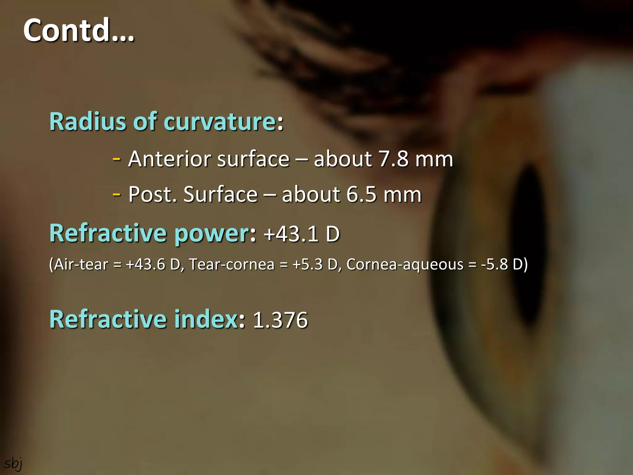 Anatomy & physiology of cornea | PDF