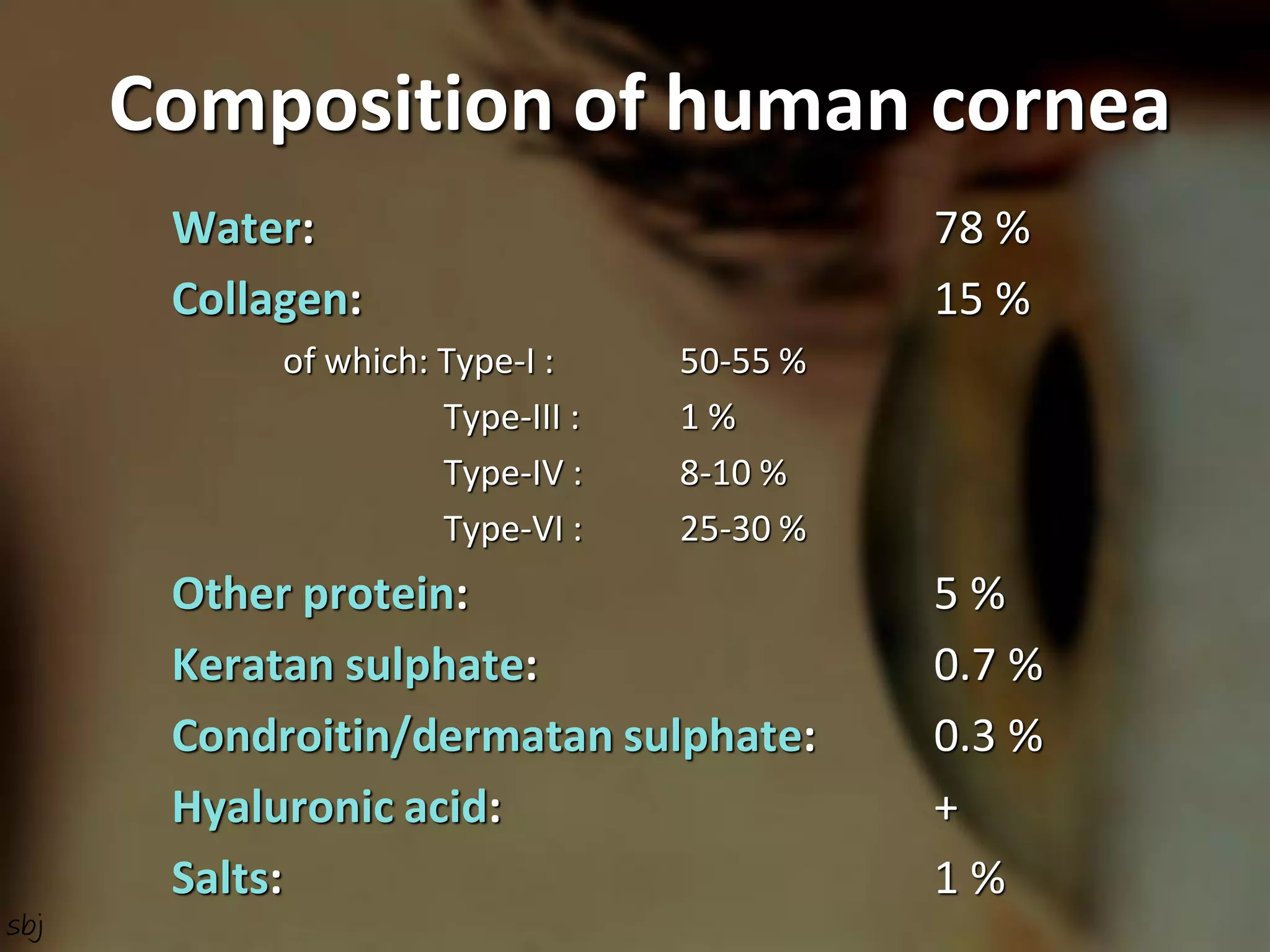 Anatomy & physiology of cornea | PDF
