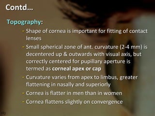 Anatomy & physiology of cornea | PDF