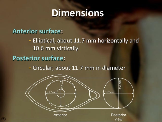 Anatomy & physiology of cornea