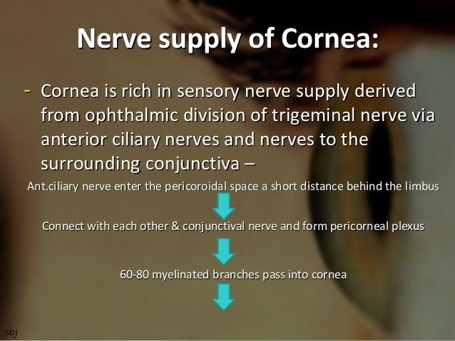 Anatomy & physiology of cornea