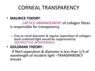 ANATOMY & PHYSIOLOGY OF CORNEA.pptx