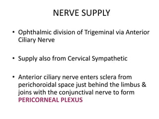 ANATOMY & PHYSIOLOGY OF CORNEA.pptx