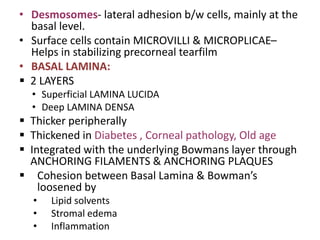 ANATOMY & PHYSIOLOGY OF CORNEA.pptx