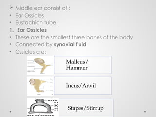 Lesson Plan on Anatomy and Physiology of EAR.pptx