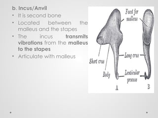 Lesson Plan on Anatomy and Physiology of EAR.pptx