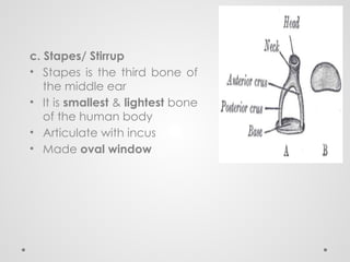 Lesson Plan on Anatomy and Physiology of EAR.pptx