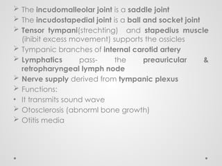 Lesson Plan on Anatomy and Physiology of EAR.pptx
