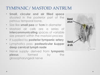 Lesson Plan on Anatomy and Physiology of EAR.pptx