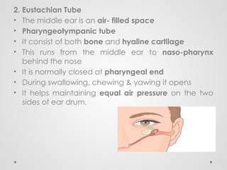 Lesson Plan on Anatomy and Physiology of EAR.pptx