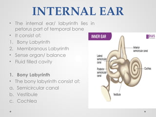 Lesson Plan on Anatomy and Physiology of EAR.pptx