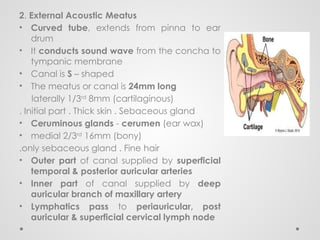 Lesson Plan on Anatomy and Physiology of EAR.pptx