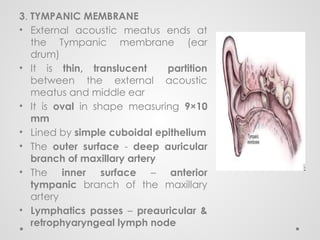 Lesson Plan on Anatomy and Physiology of EAR.pptx