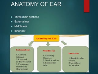Anatomy & physiology of ear & otitis | PPTX