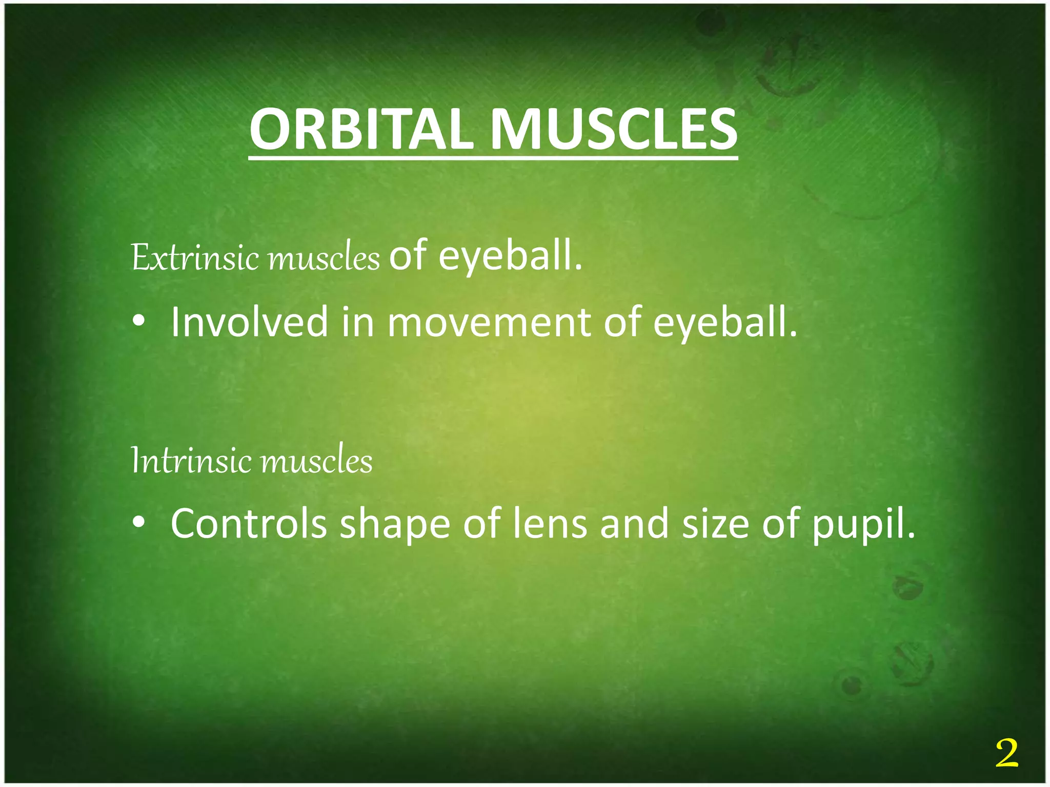 EXTRA OCULAR MUSCLES | PPTX