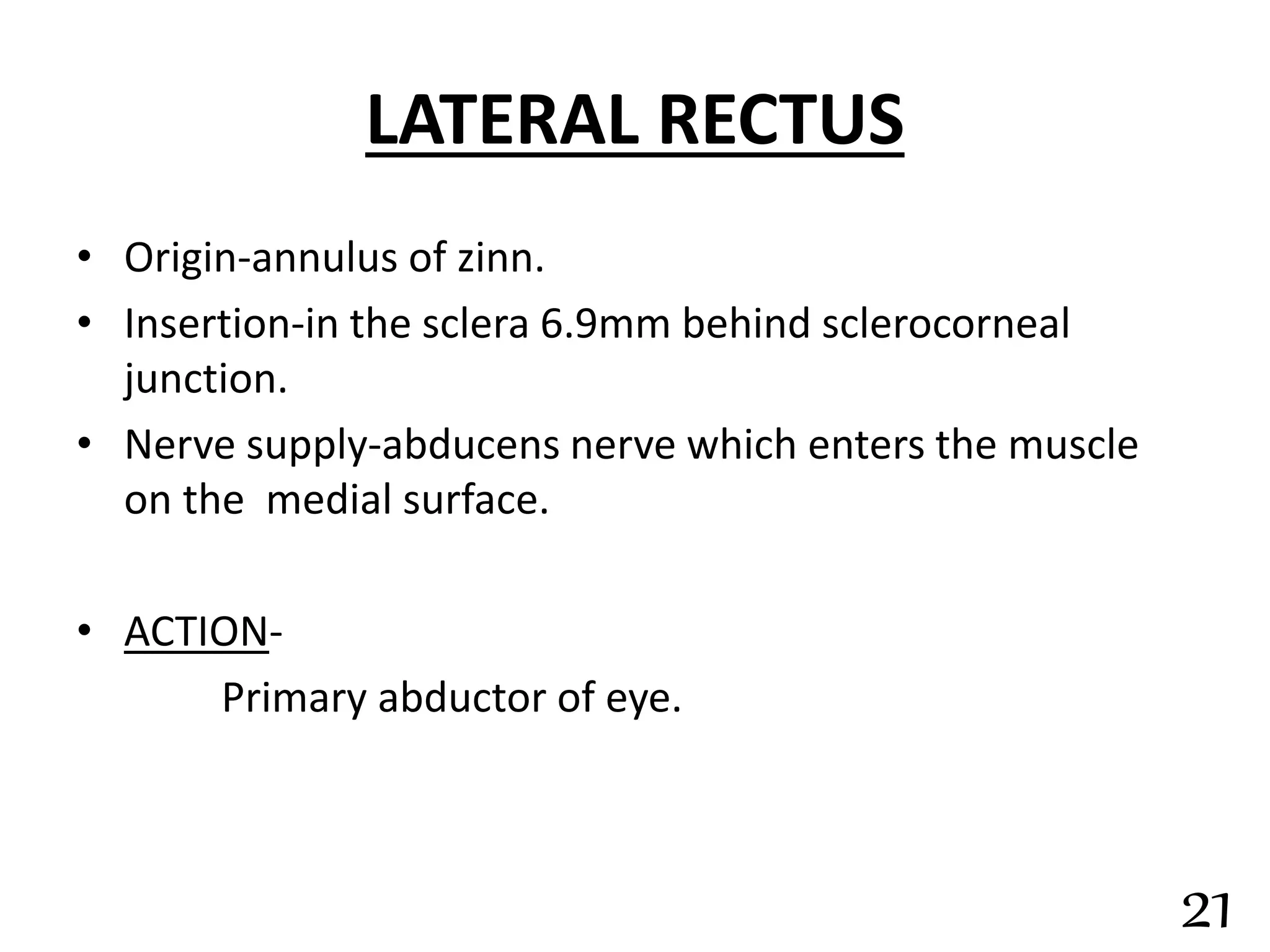 EXTRA OCULAR MUSCLES | PPTX