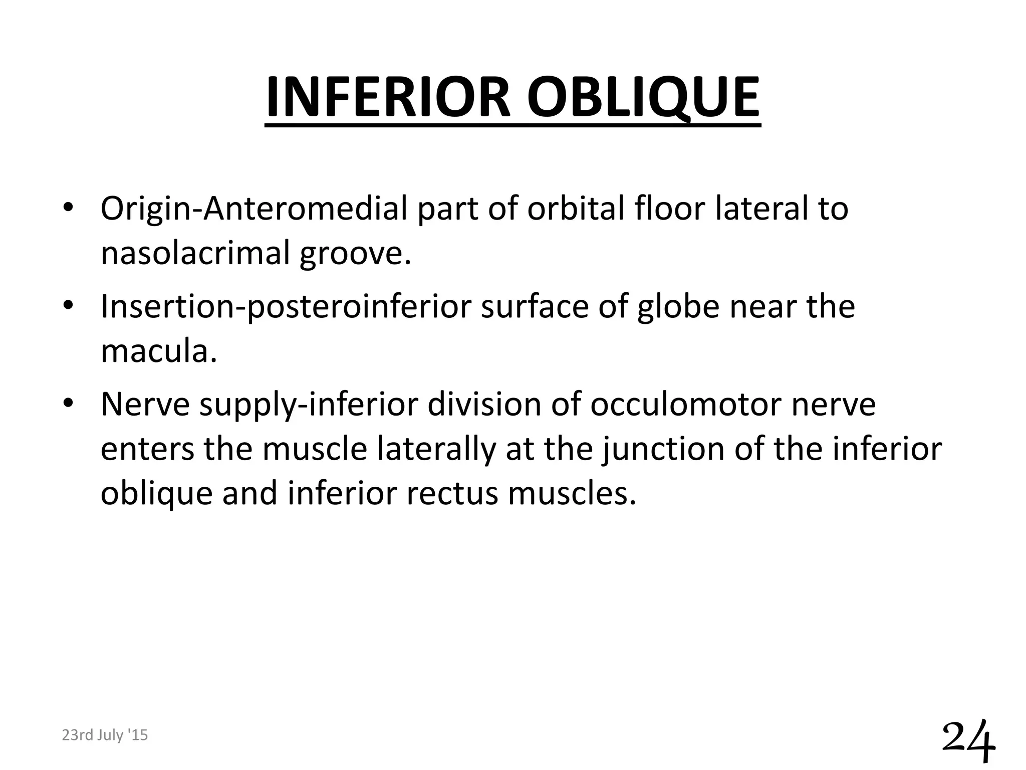 EXTRA OCULAR MUSCLES | PPTX