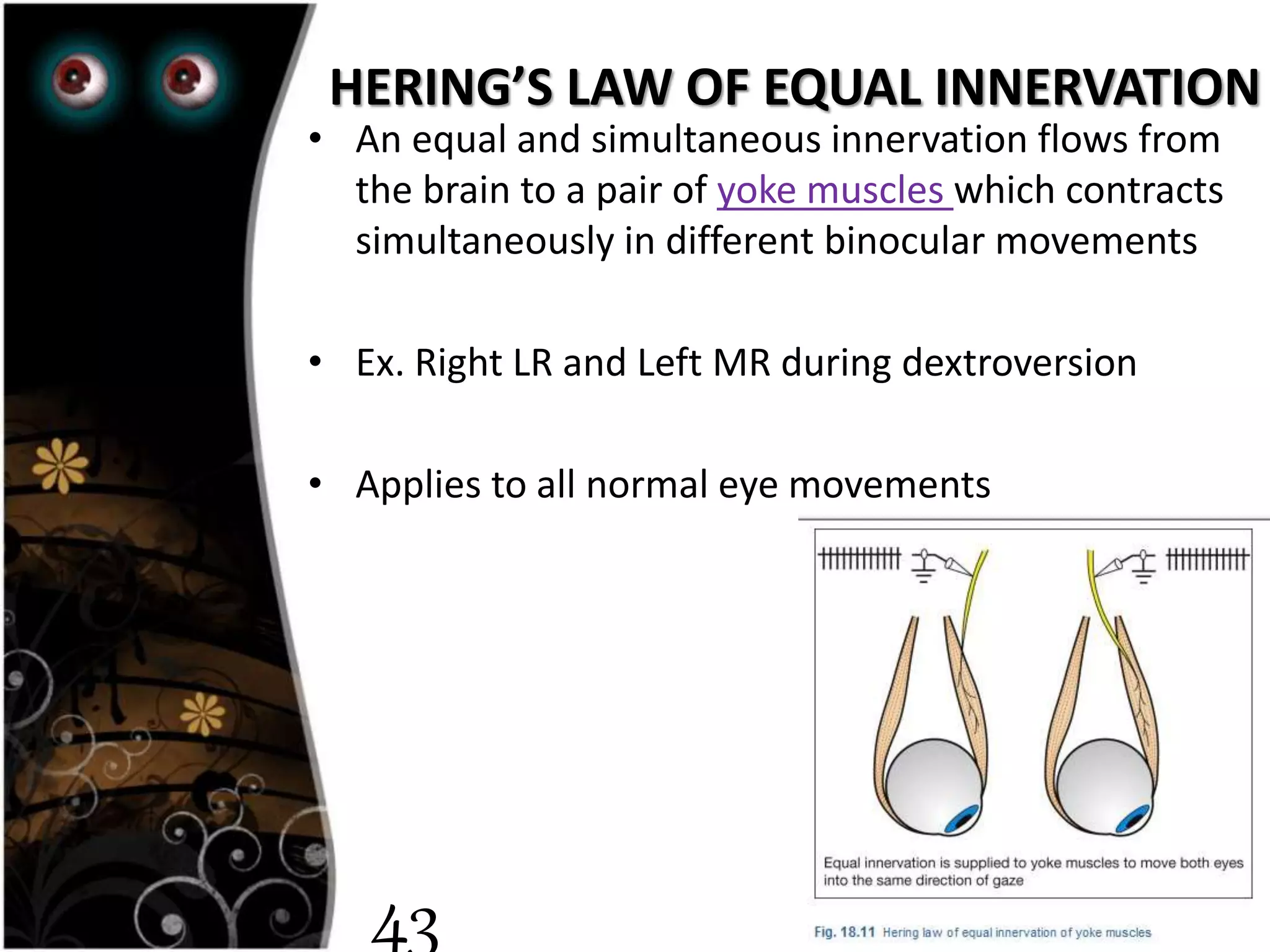EXTRA OCULAR MUSCLES | PPTX