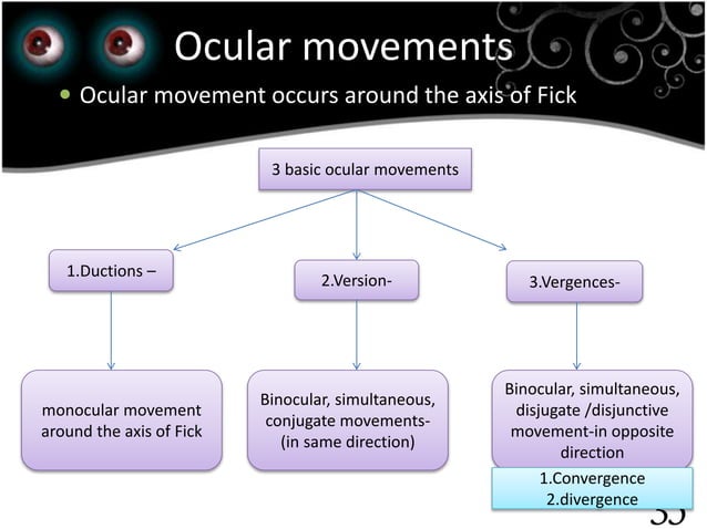 EXTRA OCULAR MUSCLES | PPTX | Eye and Vision Conditions | Diseases and ...