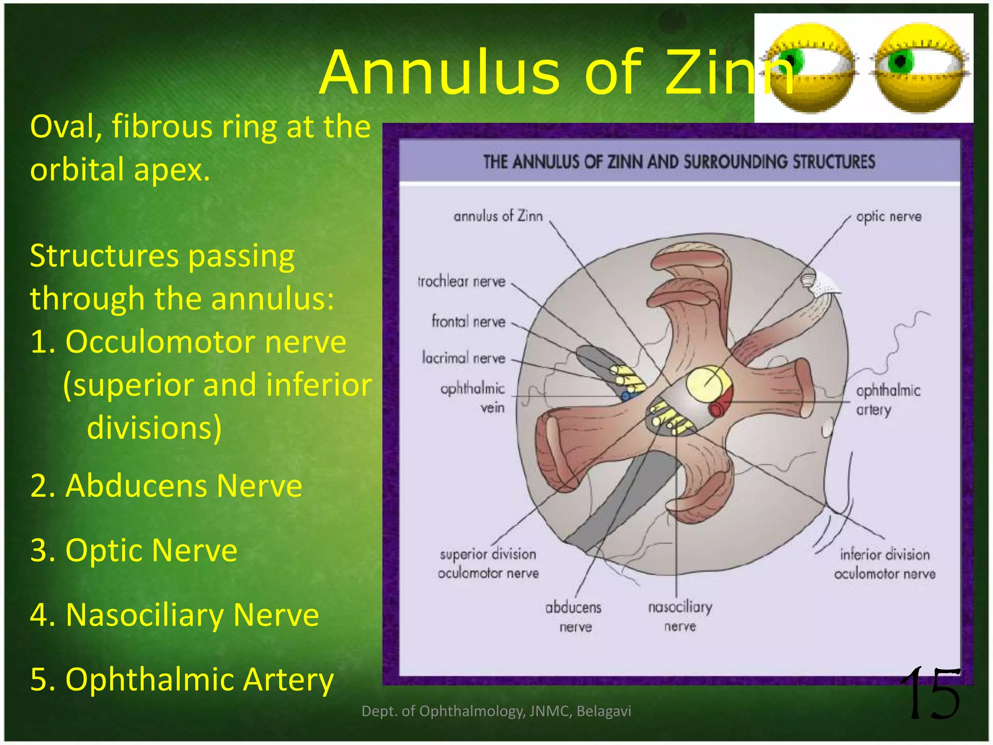 Anatomy & physiology of eom | PPTX
