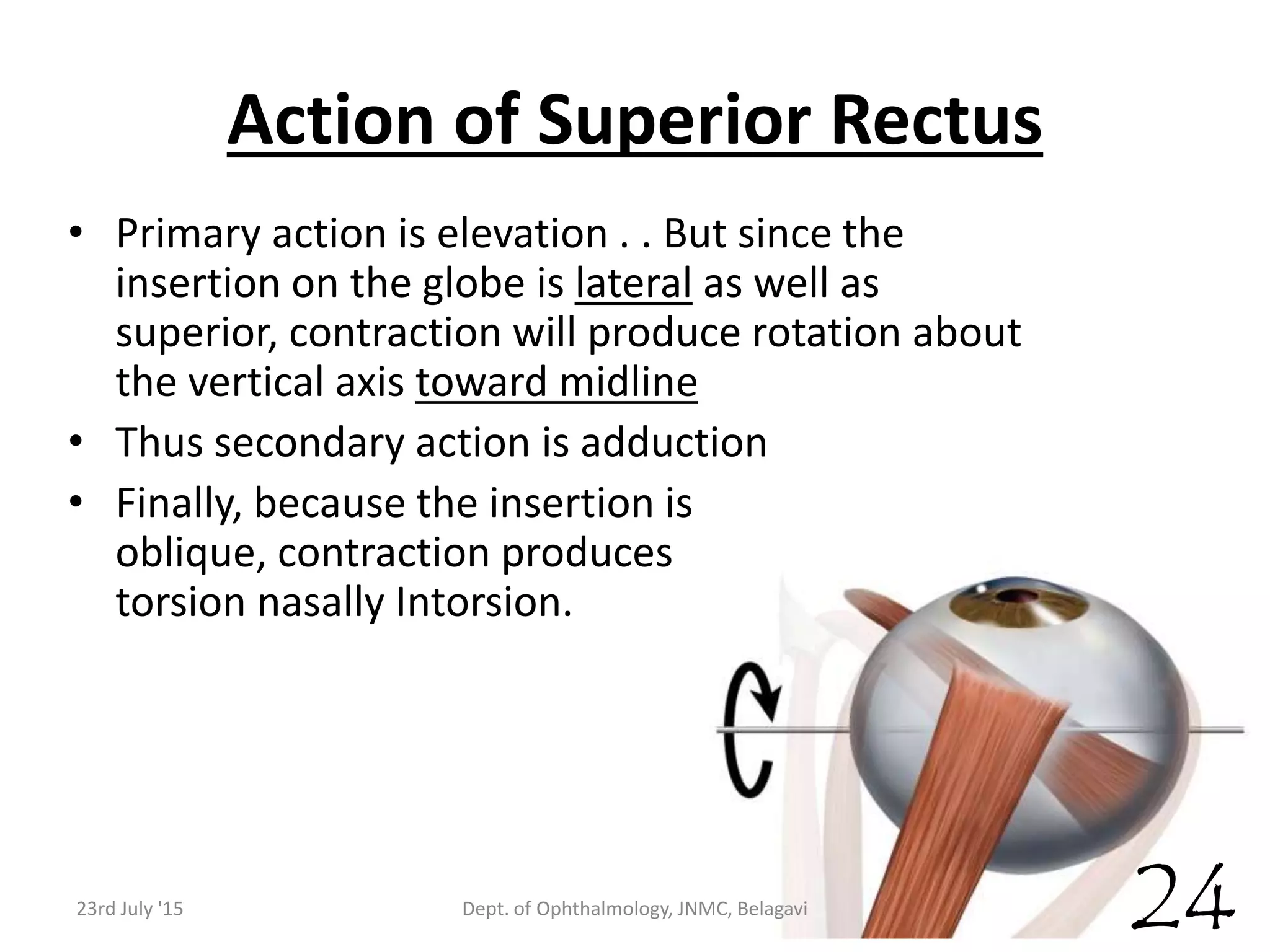Anatomy & physiology of eom | PPTX